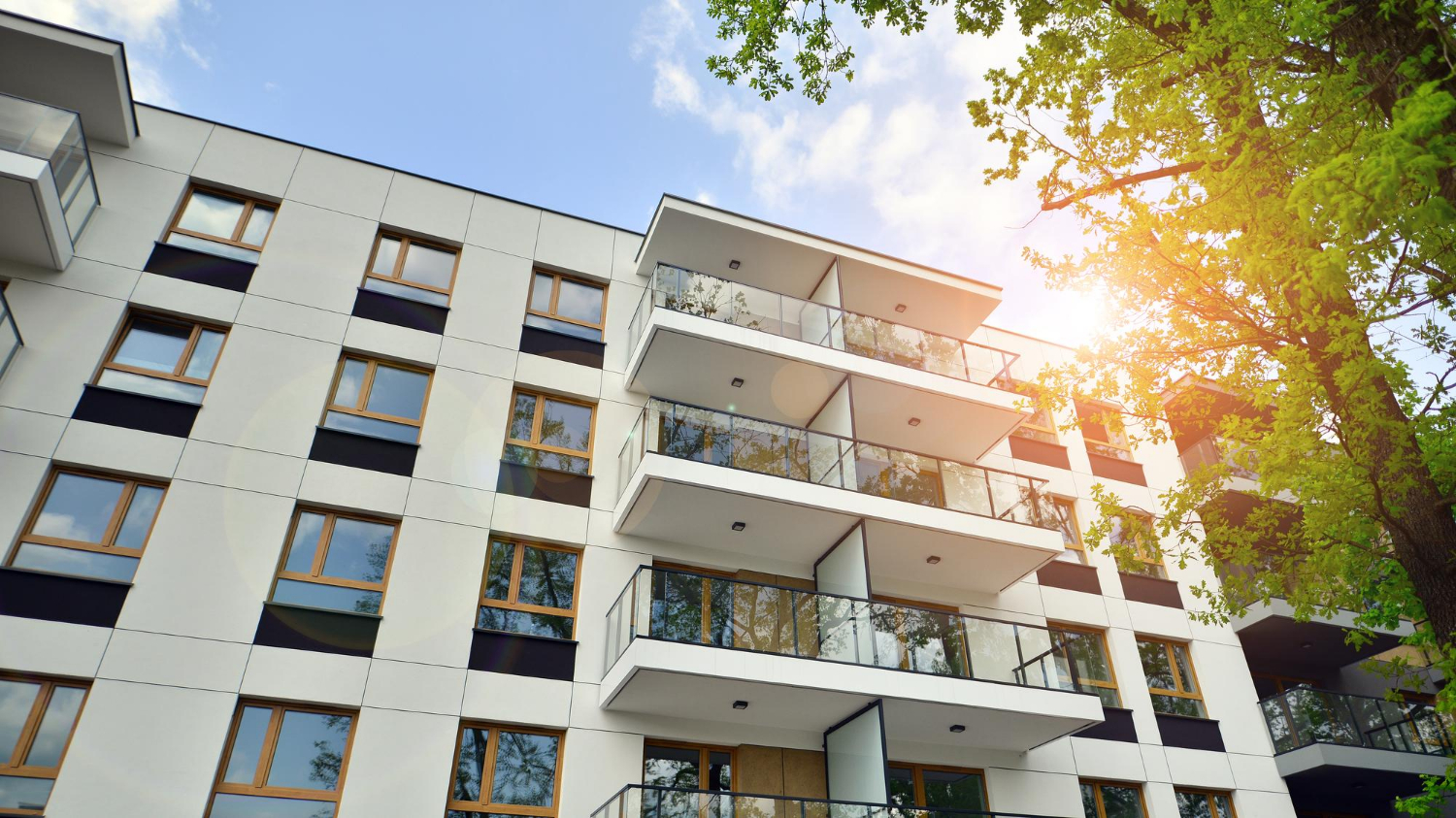 Programme (Manuel) - Régie Lescuyer et Associés